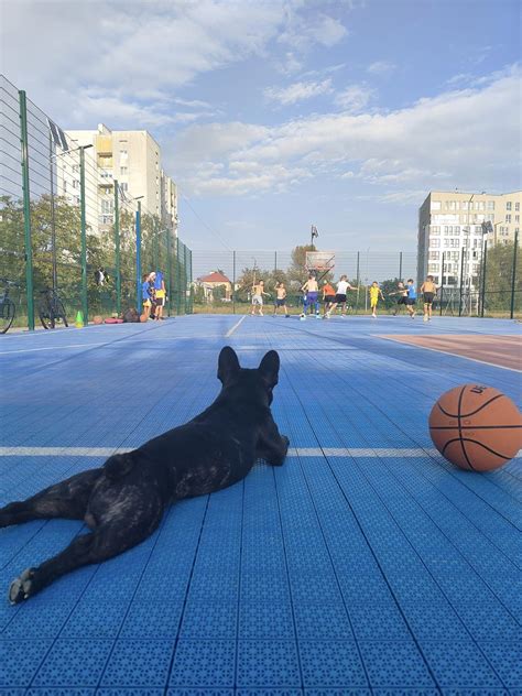 Помічник тренера з фізичної підготовки