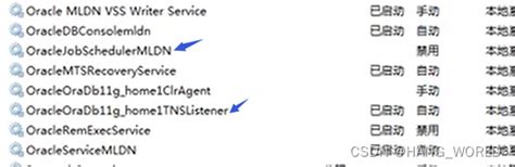 Oracle Database 11g 保姆级安装 Csdn博客
