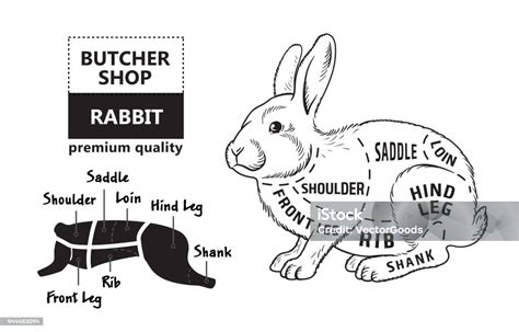 토끼의 커트 식료품 고기 매장 정육점 정육점 다이어그램 포스터 농부 시장 토끼 실루엣입니다 벡터 일러스트입니다 가금류에 대한