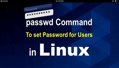 Mastering User Passwords A Complete Guide To Using The Passwd Command In Linux