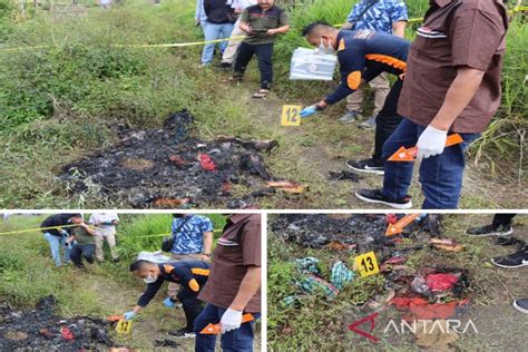 Suami Mutilasi Dan Bakar Potongan Tubuh Istri Di Doloksanggul Humbahas