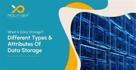 What Is Data Storage Definition Language At Nicholas Olson Blog