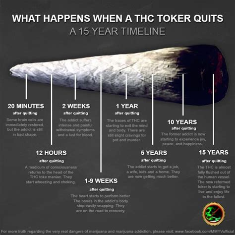 Quit Smoking Funny Artofit