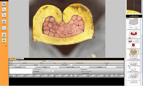 Crimp Cross Section Analysis Claravision