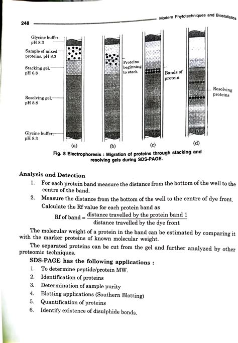 Sds Page Electrophoresispdf Book Notes Pdf