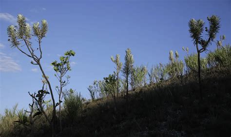 População Pode Opinar Sobre Plano De Adaptação às Mudanças Climáticas