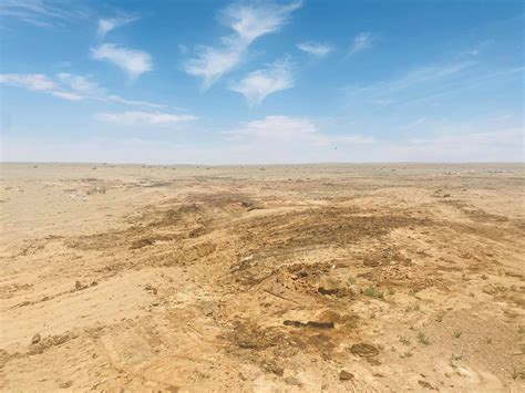 СУМЫН МАЛ НЯДАЛГААНЫ ЦЭГИЙН ХОГИЙГ ЦЭВЭРЛЭЛЭЭ Сумын