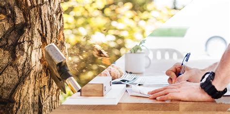 Gold Coast Council Tree Removal Application Expert Tree Removal 2020