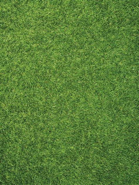 Grassy Knoll Photography Floor Drop Grass Textures Grass Texture