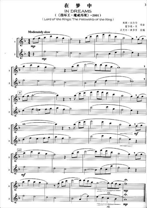 长笛重奏曲 长笛演奏 小提琴重奏 大山谷图库