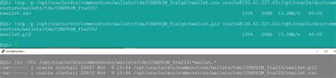 Create Pdbs In A Data Guard Environment With Tde Enabled Database