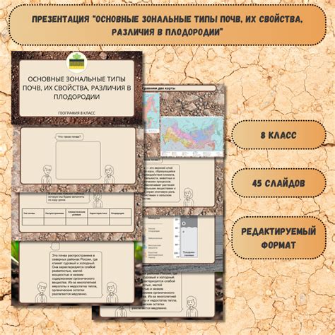 Презентация «Основные зональные типы почв их свойства различия в плодородии география 8 класс