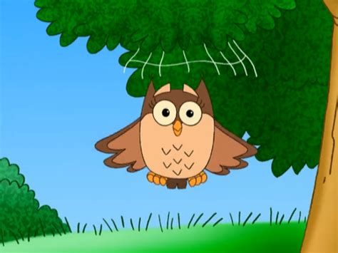 Spectacled Owl Dora The Explorer Wiki Fandom