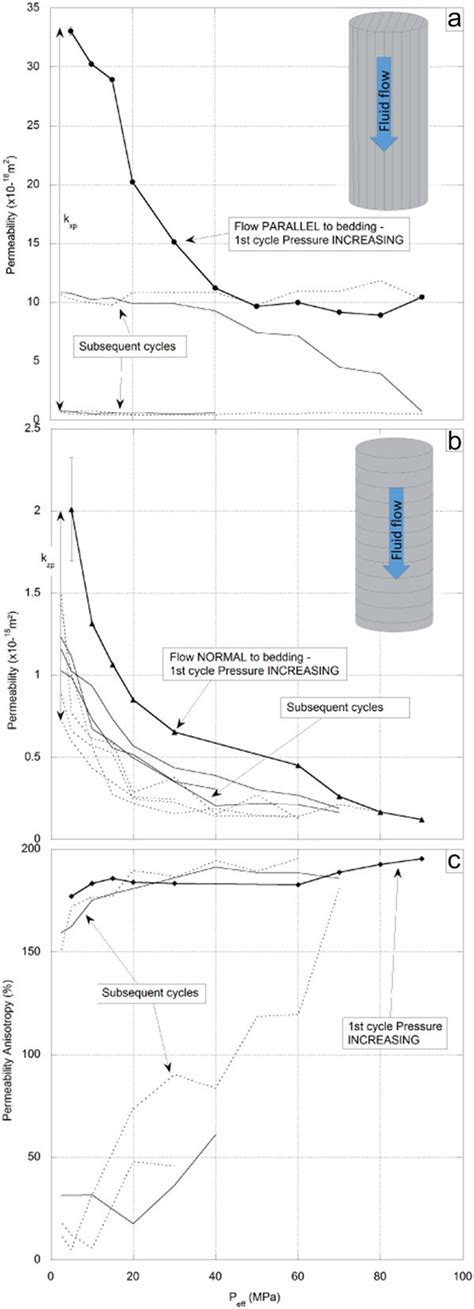 Permeability And Permeability Anisotropy Evolution Over An Effective