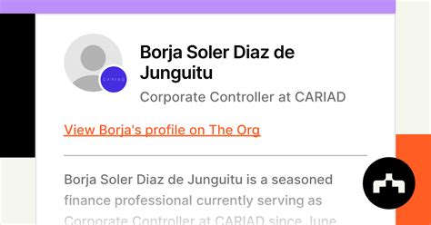 Borja Soler Diaz De Junguitu Corporate Controller At Cariad The Org