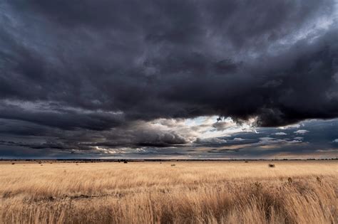 Shaun Schoeman Photography