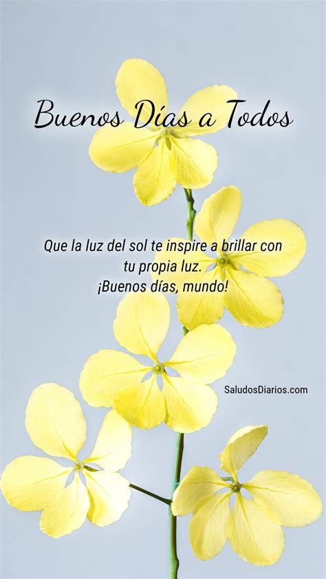 Flores amarillas Saludar mañanas Buen día Todos Saludos Diarios