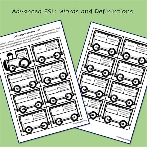 Esl Biology Photosynthesis And Cellular Respiration Vocabulary Train