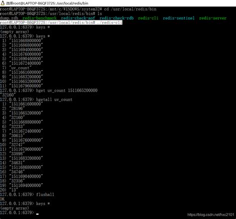 wsl 安装启动 redis wsl 启动redis csdn博客