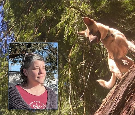 Meet Uwswcd Board Member Gen Schaack Whole Community News