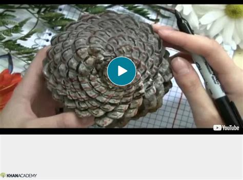 Khan Academy Spirals Fibonacci And Being A Plant 1 Of 3 Instructional Video For 9th 10th