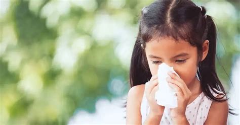4 Virus Respiratorios Causan Pico Histórico De Infecciones En Niños