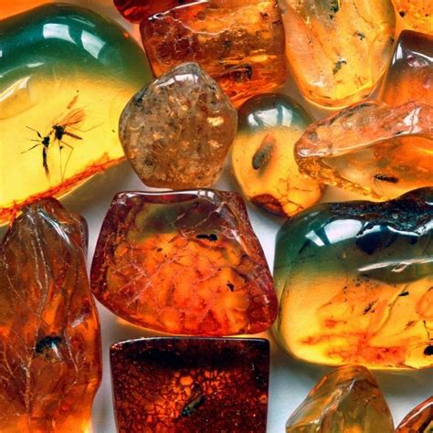 Ambre Vertus Bienfaits Et PropriÉtÉs Artofit