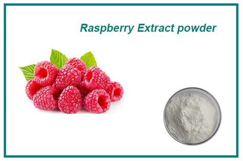 Top Quality Raspberry Extract Powder Manufacturers Suppliers Factory Wholesale Price Gaoyuan