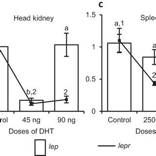 Expression Of Lep And Lepr During Different Reproductive Phases R Download Scientific Diagram