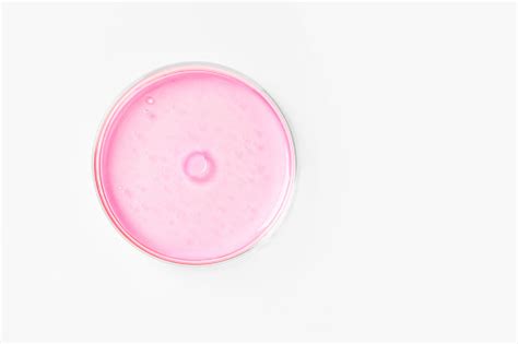 밝은 배경에 페트리 접시입니다 장미 액체 물 얼룩 기름 방울 큰 박테리아 또는 바이러스 중간에 알 실험실 유리 제품 공부 화학 원소 하이 앵글에 대한 스톡 사진 및 기타