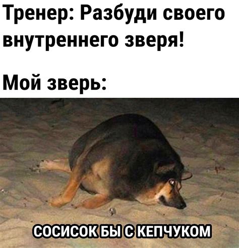 Мемы и картинки 13 01 2023