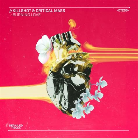 Stream Killshot And Critical Mass Burning Love By Derailed Traxx