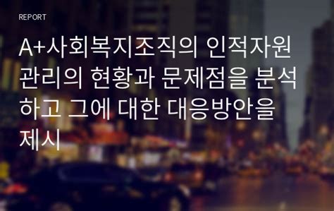 A사회복지조직의 인적자원관리의 현황과 문제점을 분석하고 그에 대한 대응방안을 제시 레포트