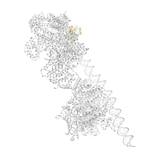 Tbp Gene Somatic Mutations In Cancer