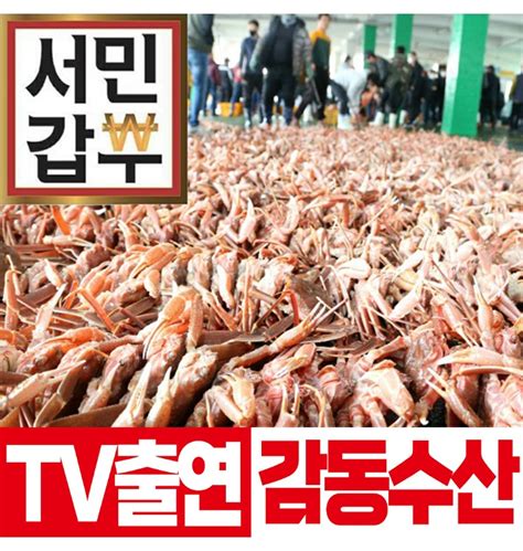 동해안 포항 구룡포 생물 찜 자숙 홍게 가성비 실속형 고급형 라면용 육수용 산지직송 당일발송 수율보장 티몬