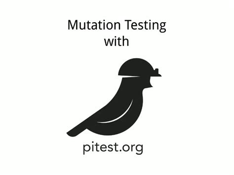 An Introduction To Mutation Testing