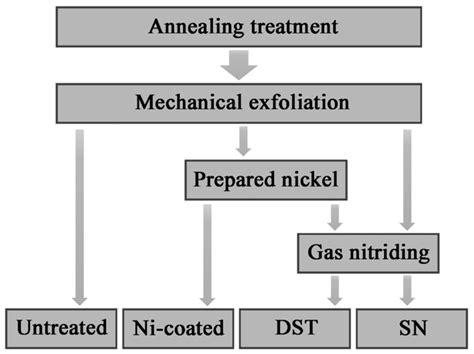 Flowchart Of The Sample Fabrication Processes Download Scientific