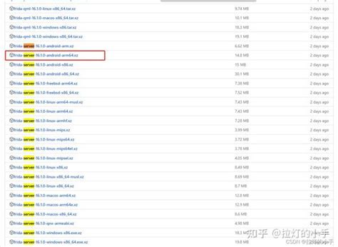Android13 安装最新版 Frida 知乎