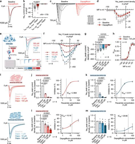 Acute Antiarrhythmic Effects Of Sglt2 Inhibitors Dapagliflozin Lowers