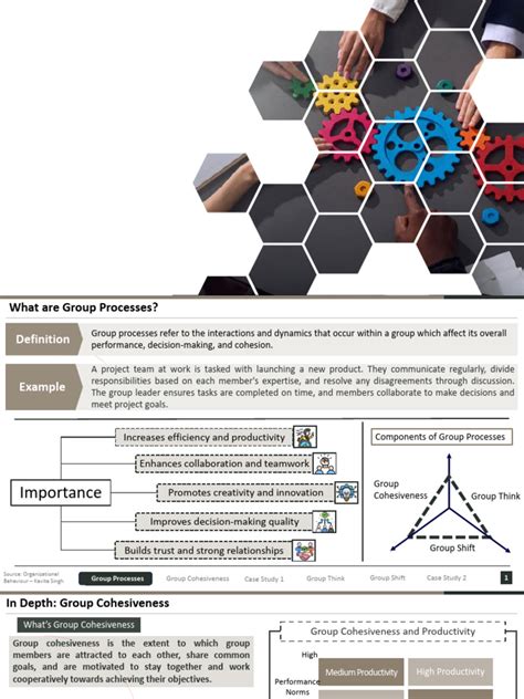 Ob Group Process Pdf Group Cohesiveness Group Processes