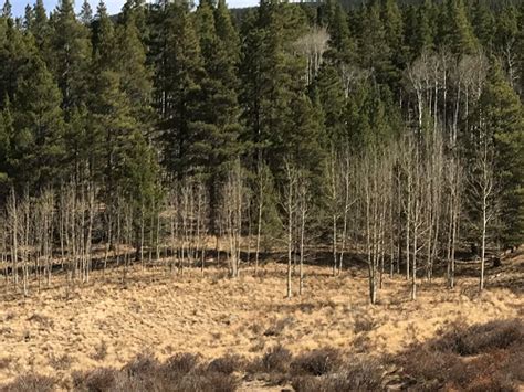 Lessons In Environmental Science For Professors