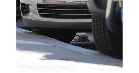 Бомбата под колата на топ адвокатката е срещу съпруга й