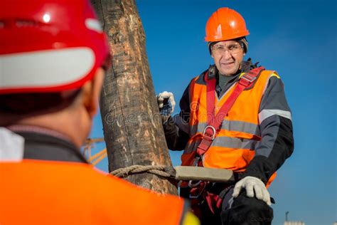 Electrician On A Pole Against The Blue Sky Editorial Image Image Of Electrical Belt 79554725