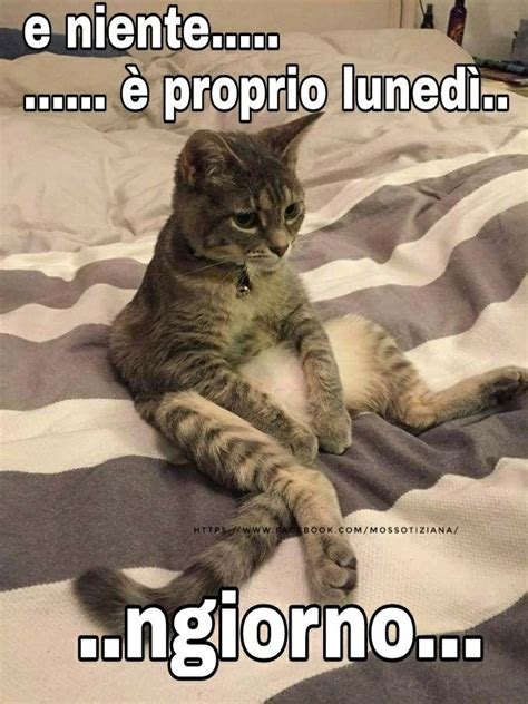 55 immagini buongiorno lunedì bellissime e divertenti