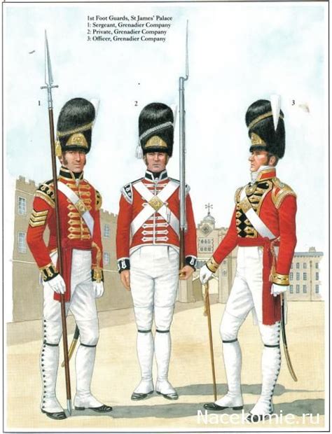 Wellingtons 1st Foot Guards St James Palace 1 Sergeant Grenadier