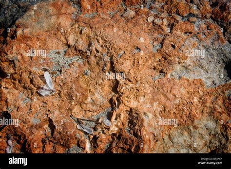 Rust Coloured Rock Texture Stock Photo Alamy