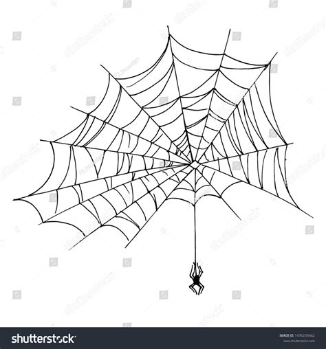 Sketch Spider Web Hand Drawn Outline Vector De Stock Libre De