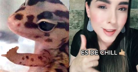 Qué significa de chill la curiosa frase que se volvió viral en