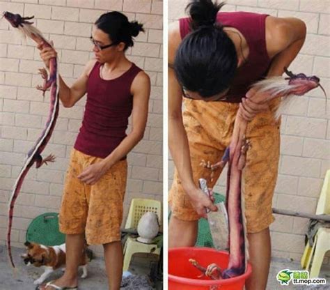 Berbagai Video Dan Foto Yang Menunjukkan Naga Di Alam Nyata Blog Unik