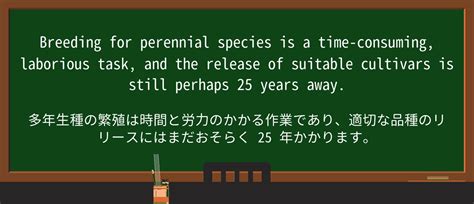 【英単語】laboriousを徹底解説！意味、使い方、例文、読み方 おもしろい英文法